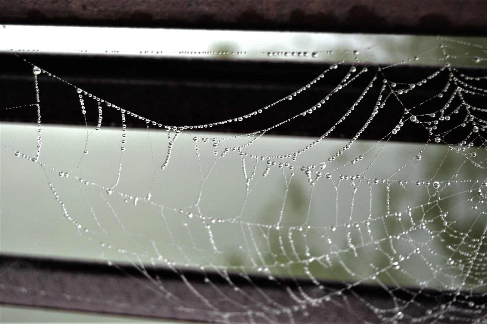 Gallery - Ella Arrow, the Book Fairy