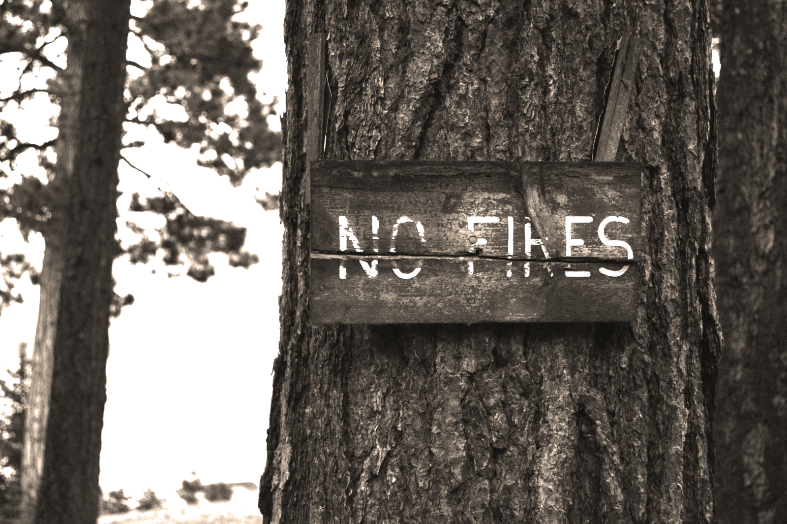 Gallery - Ella Arrow's Bookshelf